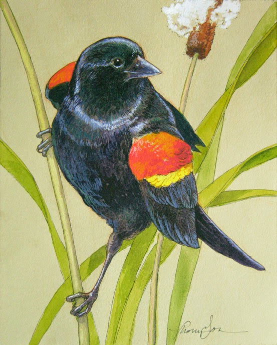 Tracie Thompson, Artist: Red Winged Blackbirds