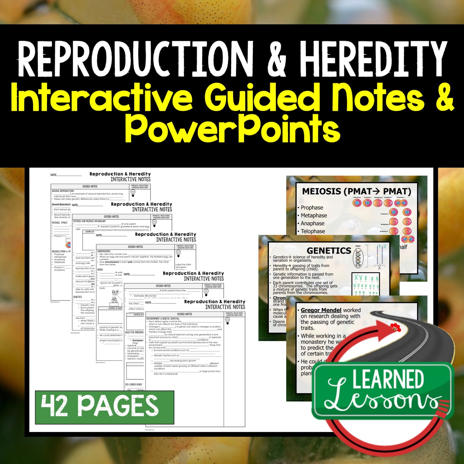 August 2017 - Learned Lessons Teaching Materials