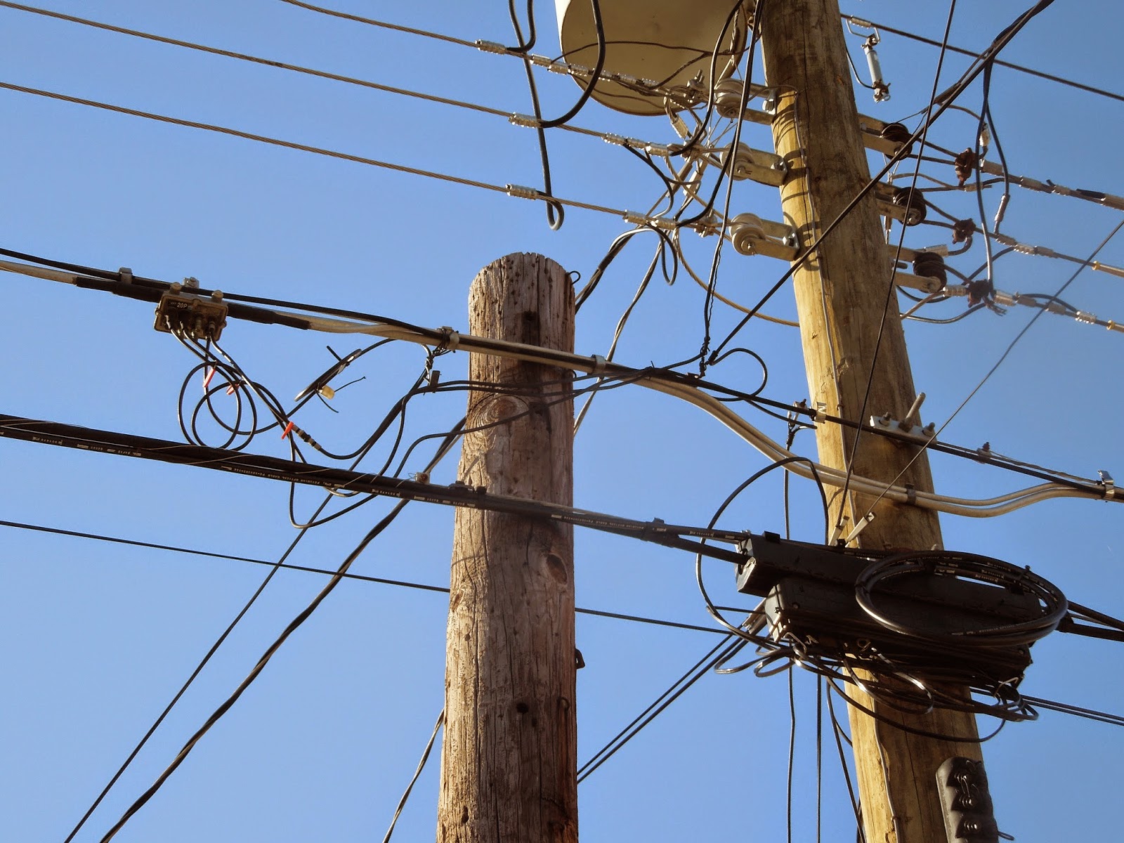 RKCartboggle: Traveling Virginia in search of poles!