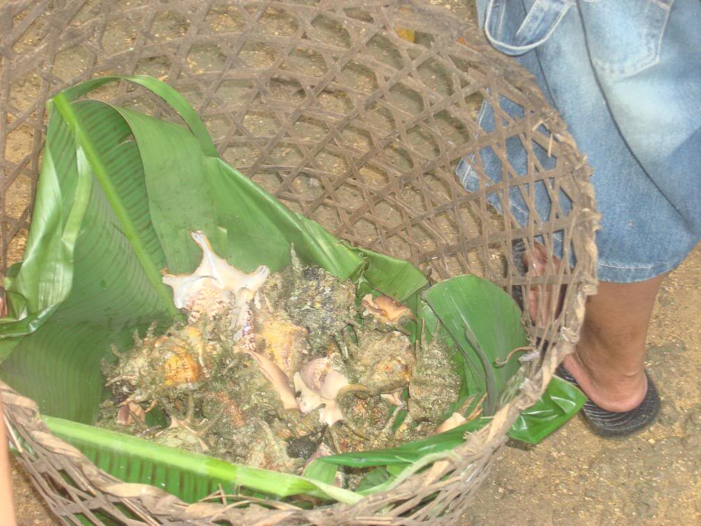 A Glimpse of Siquijodnon Cuisine - Around The Philippines