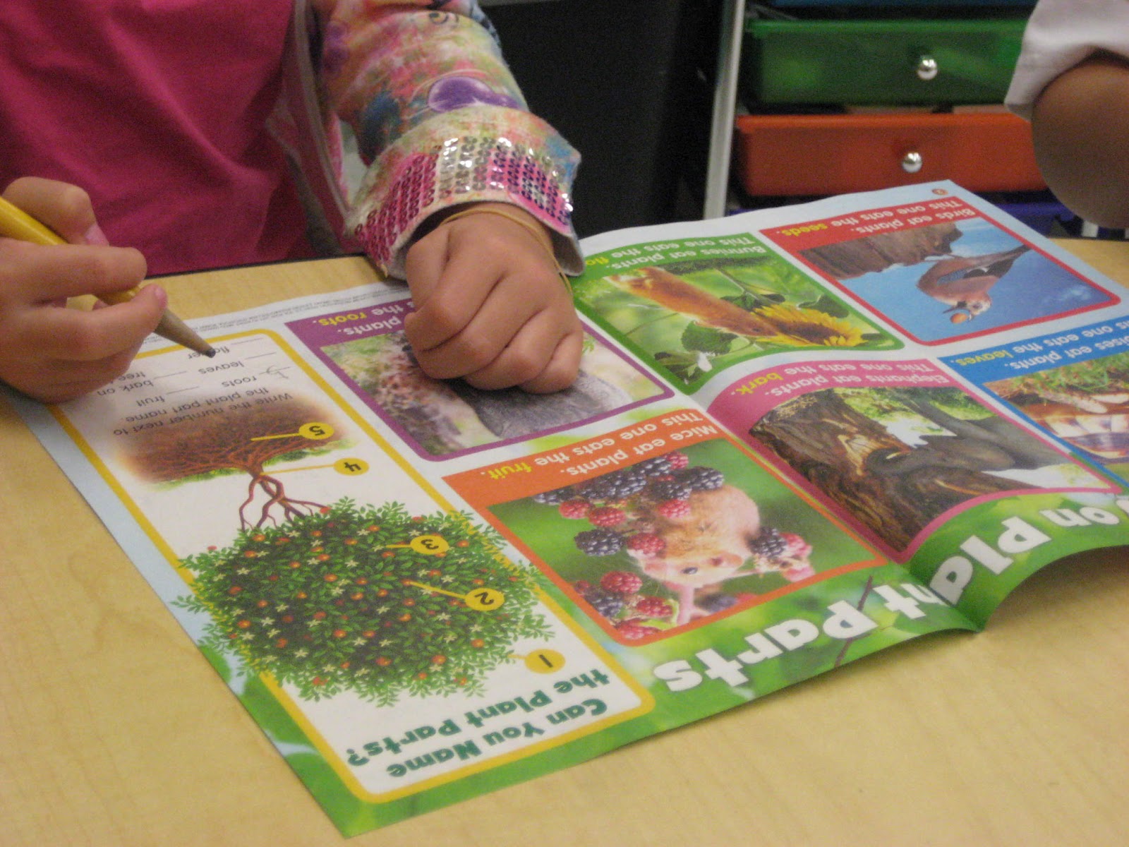 Kindergarten Smiles: Let's Find Out!