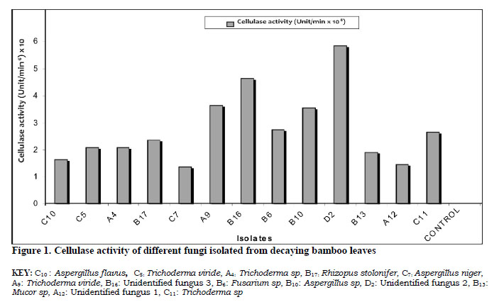 MUSUH ALAMI-PREDATOR: Aktiviti enzim kulat daripada daun buluh reput