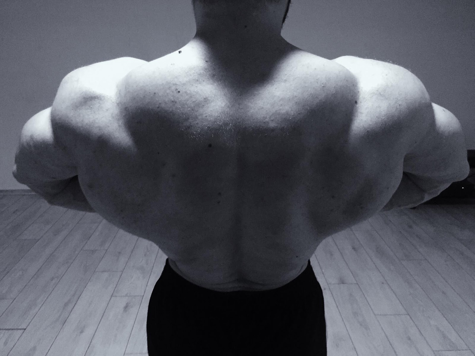 arkansas razorbacks baseball: Romanian bodybuilder Dan Cristian