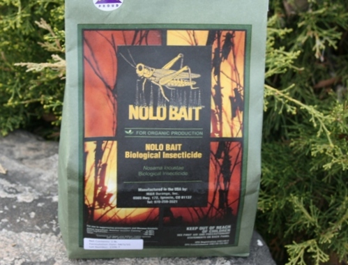 The Flower Bin: Controlling garden pests organically