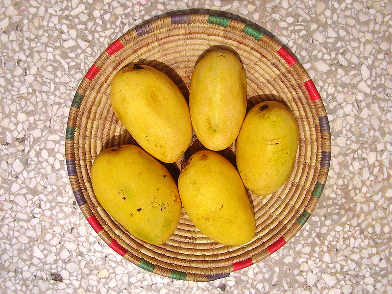 10 Popular Indian Mango Varieties