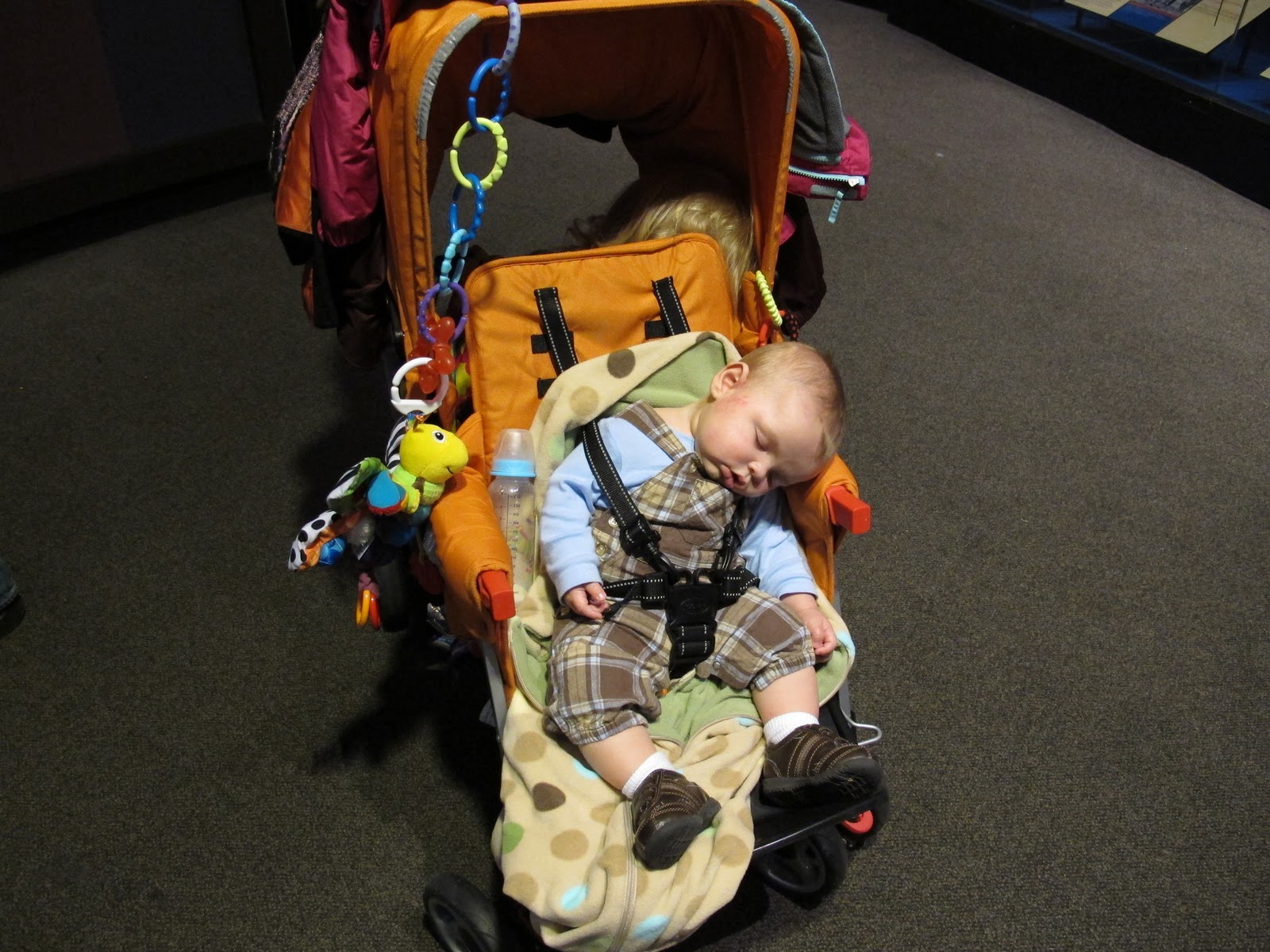 Ashley, Grant, Kendra, Elliot, Paxton, Bridget, Seth: January 2012