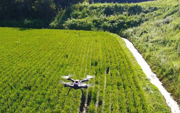 Rosemol Mathew: APPLICATION OF MATHEMATICS IN AGRICULTURE