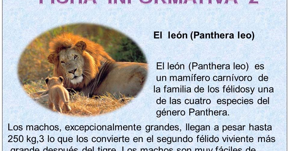 Leo, juego, aprendo y escribo: 4.1.- FICHA 2 EL LEÓN