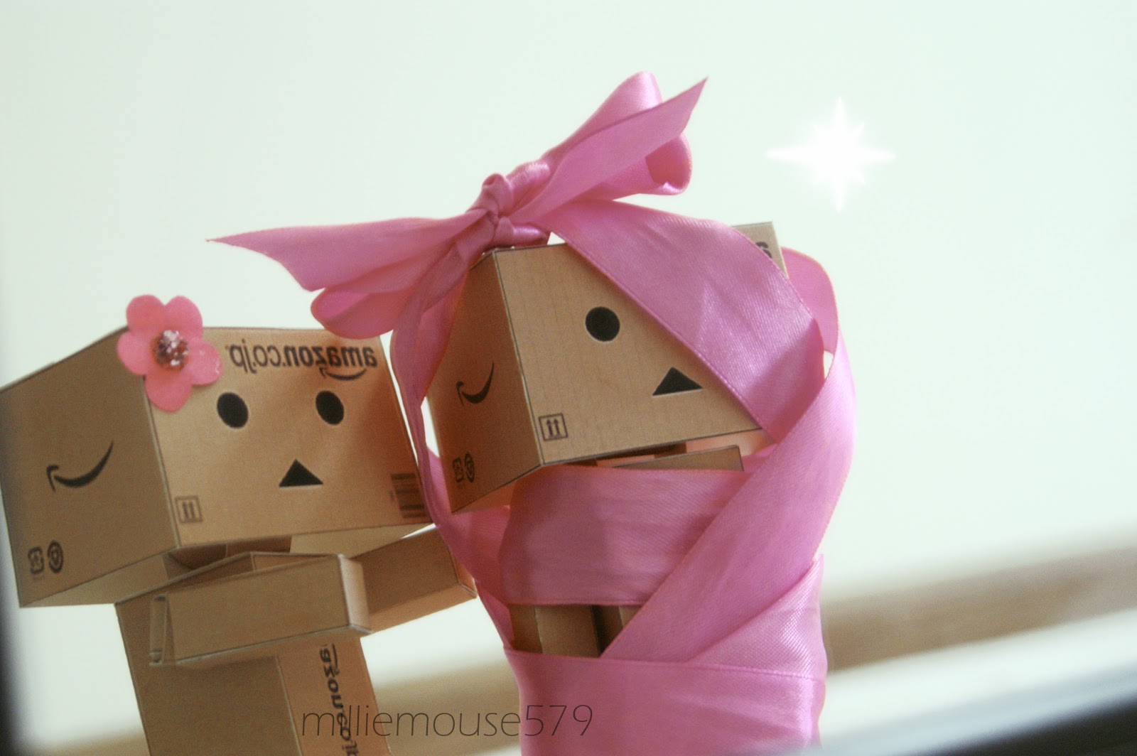 Sarah's World: Koleksi Gambar Danbo