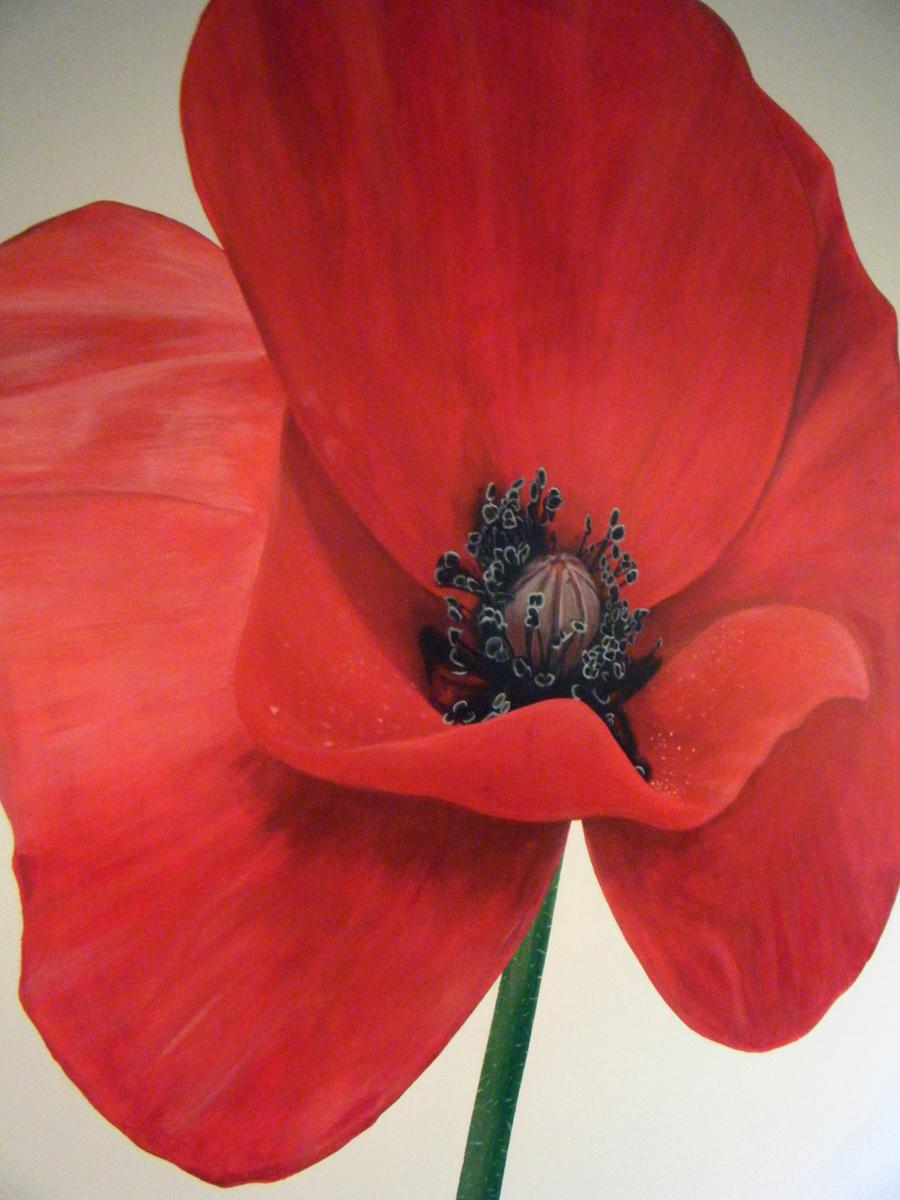 Jake Brown Art: Poppy Painting