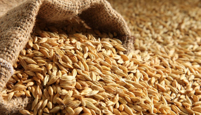 Ayurveda Home and Remedies with Nature: मोटे अनाज के अनेक फायदे और लाभ ...