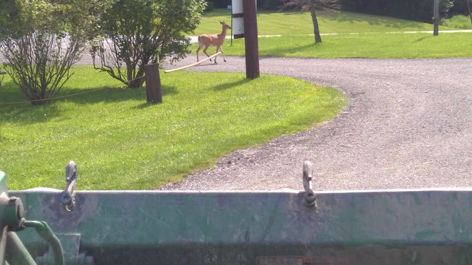 The Bayles Lake Blog