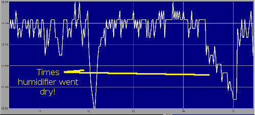 Forsythkid: Indoor humidity in winter all important!