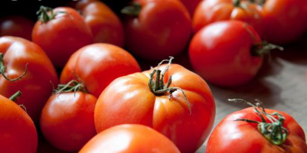 Tomat, Buah atau Sayur? | blog sauted