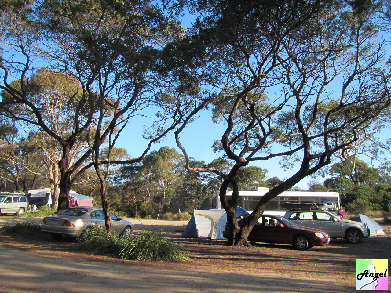 塔斯曼尼亞免費露營點推介 | [一細舊cm出走記]