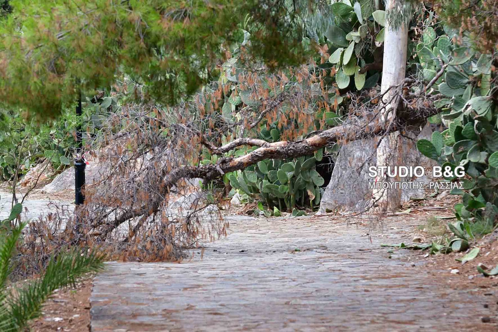 Αργολικός Ποιμήν: ΝΑΥΠΛΙΟ- ΣΥΝΕΧΙΖΟΝΤΑΙ ΟΙ ΚΑΤΟΛΙΣΘΗΣΕΙΣ ΣΤΗΝ ΠΑΡΑΛΙΑ ...