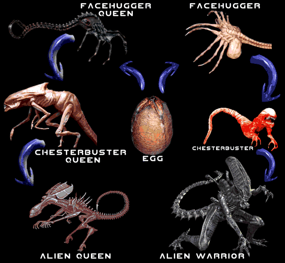 ~''පිටසක්වල ජීවය''~(''තරු අඩවිය'')