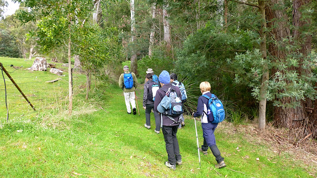 Ramblings: Nierinna Creek Tramway Hill Margate Rivulet 2015