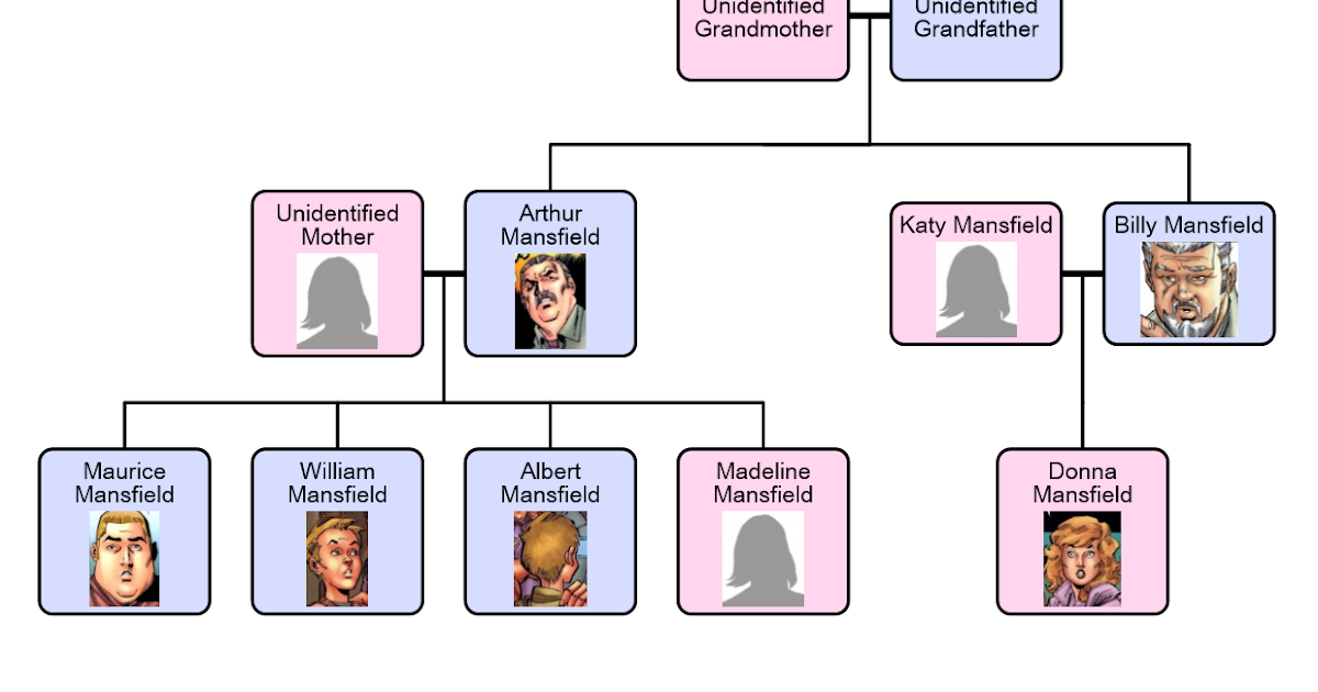 Clara Bartons Family Tree