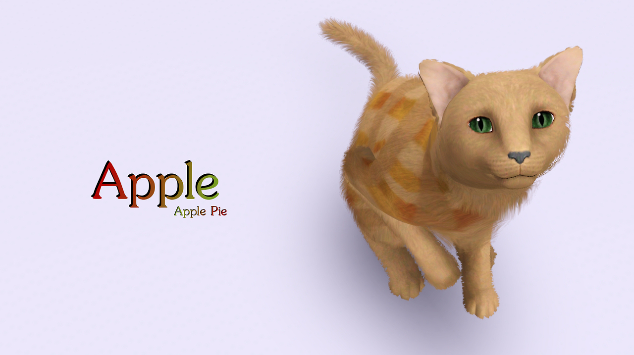 My Sims 3 Blog: New Cats by Catlover800
