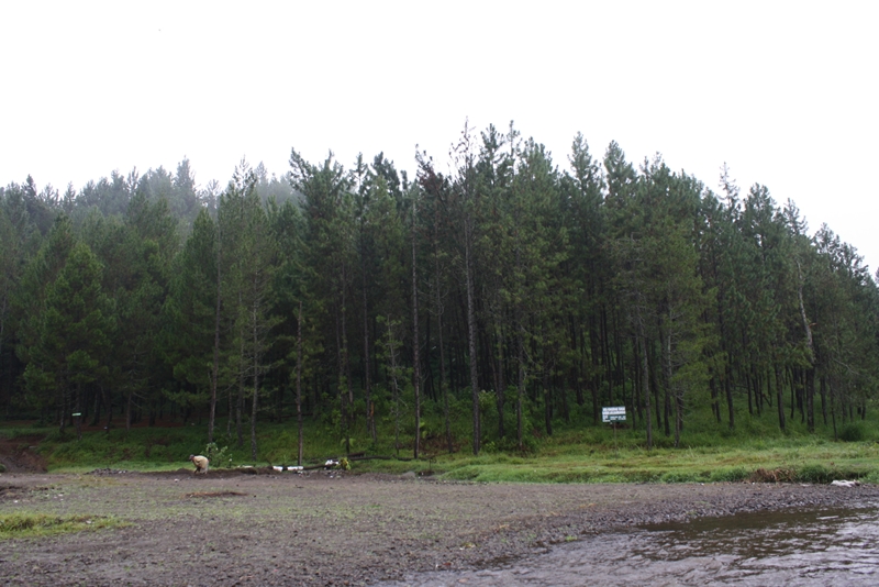 Coban Talun The Beautiful Place For Adventure in Malang, East Java ...