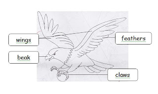 SWEELEE'S LAND: 1. EXTERNAL FEATURES OF ANIMALS