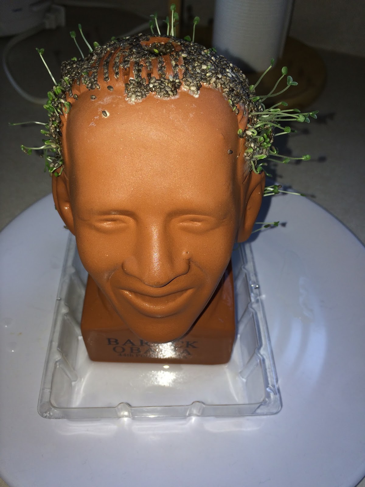 Chi...Chi...Chi..Chia! Obama Chia Pet #review #giveaway - Mommy's Block ...