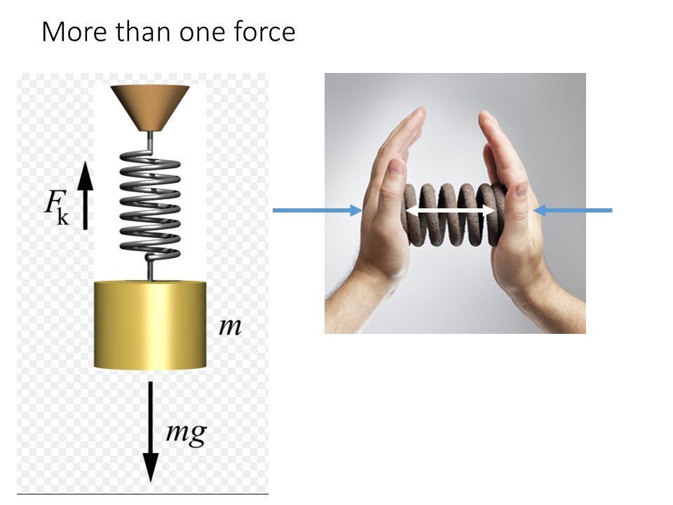 Mr Lloyd's Interactive Board: Hooke's Law revision