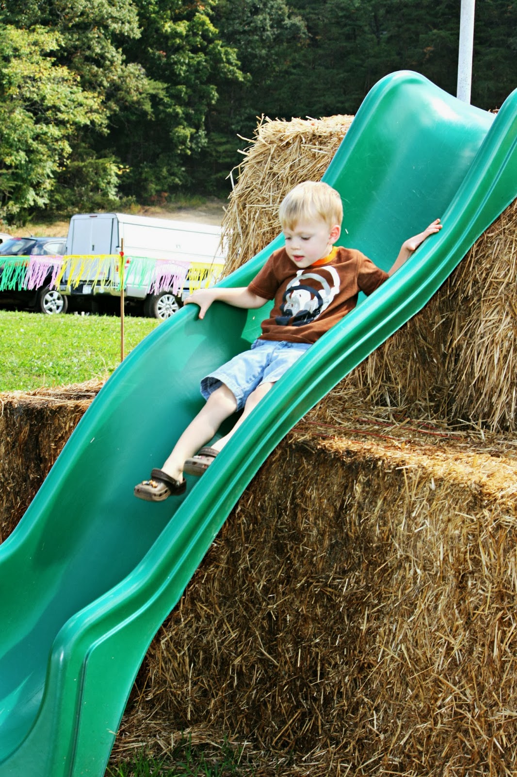 Two Bears Farm and the Three Cubs: A Visit to Thee Red Barn