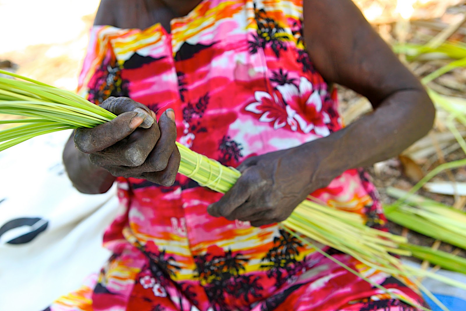 THE LONG LAP AROUND...: Aboriginal craft.....