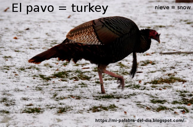 Mi Palabra Del Día: July 2014