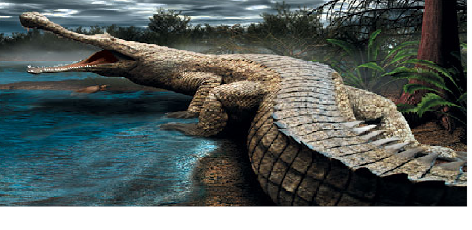 Terra, de Mysterium: THE MONSTER:SUPER CROC