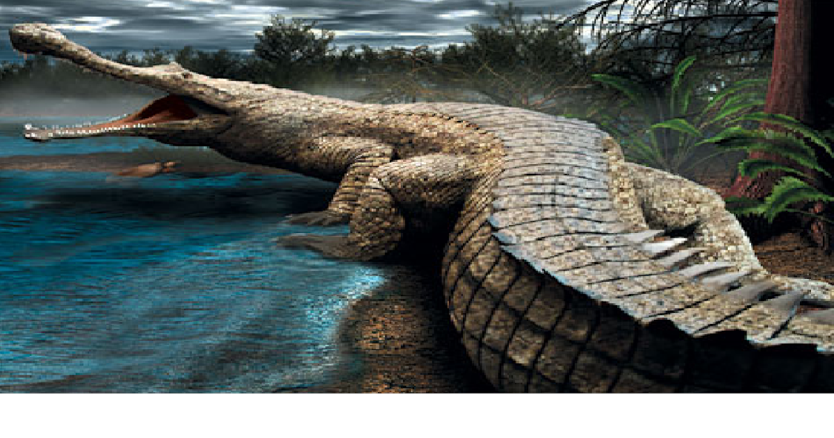 Terra, de Mysterium: THE MONSTER:SUPER CROC