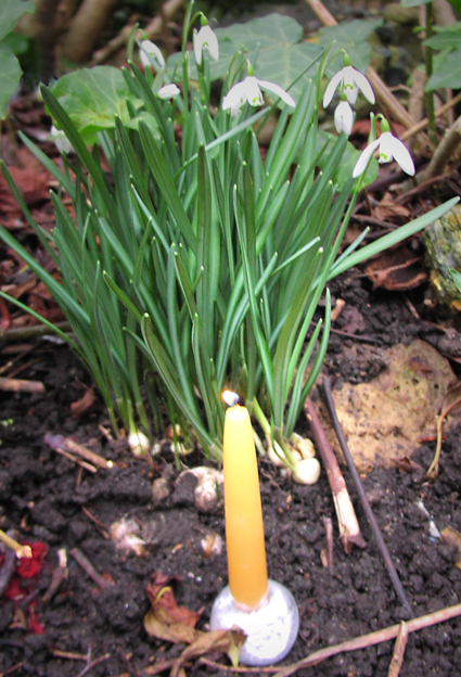 A bad witch's blog: Candle Magic: Brigid's Flame & Snowdrops for Imbolc
