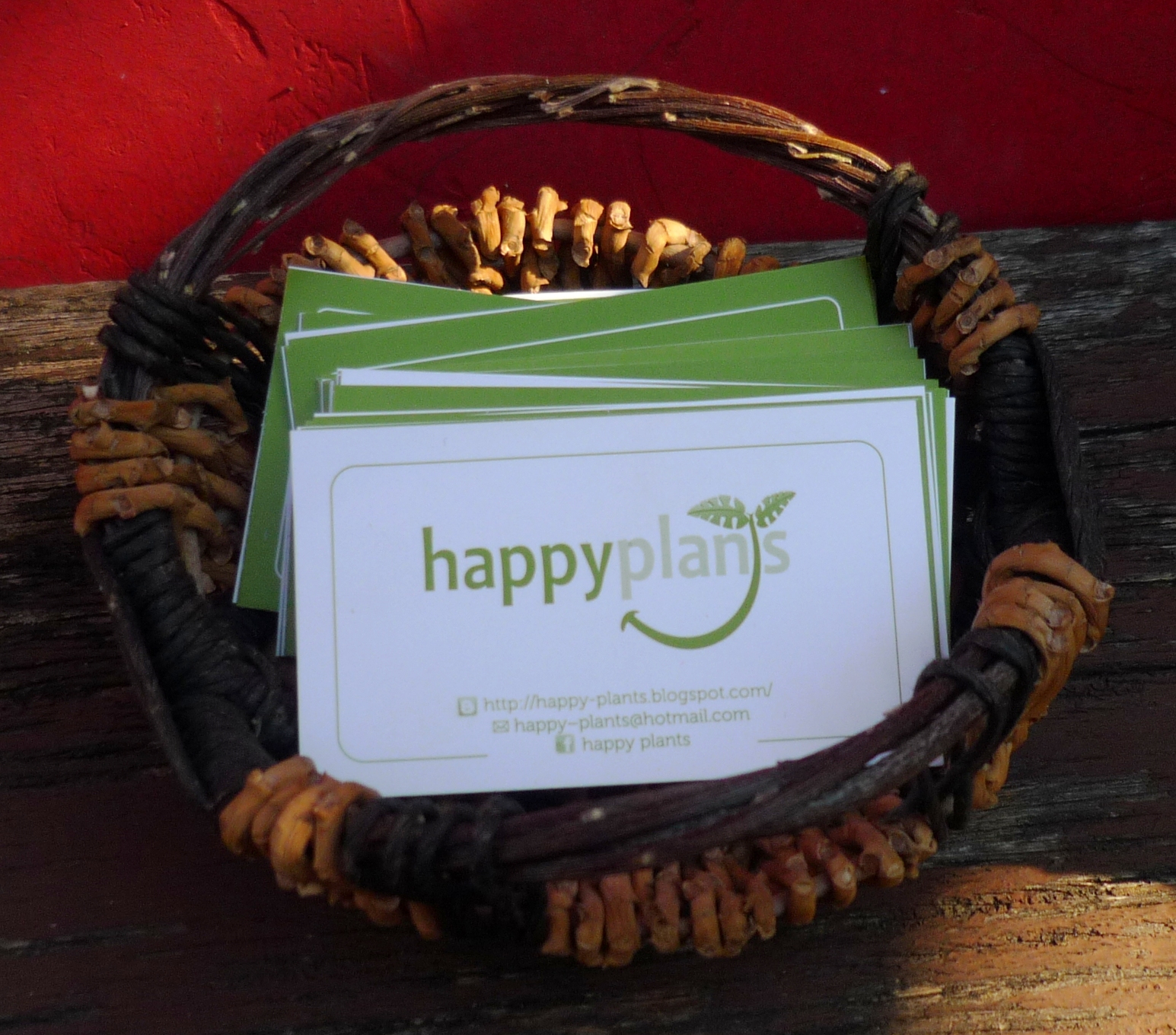 Happy Plants: Cestería Botánica