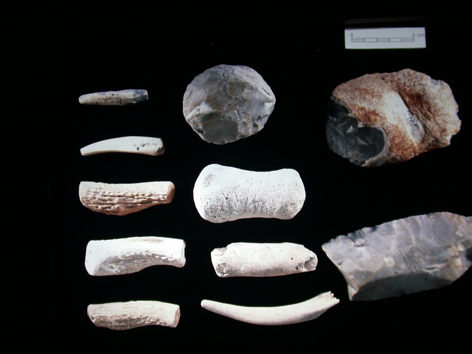 Antler Drift - Indirect Percussion Quotes: Antler Drift - Indirect ...