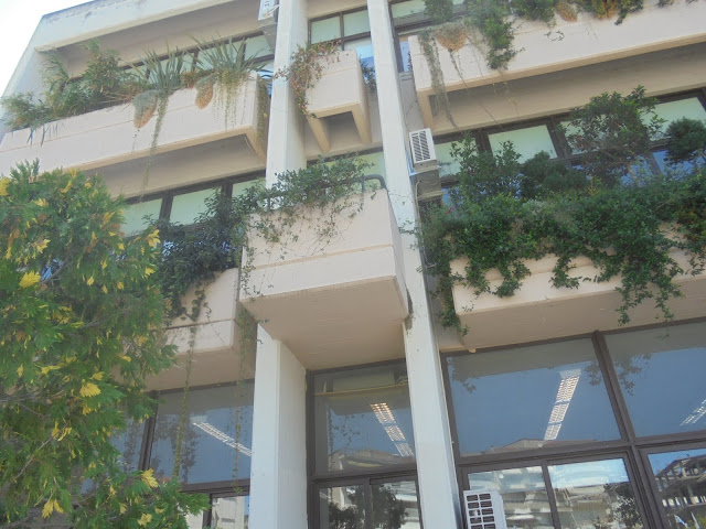 ΑΛΗΘΕΙΑ: Δήμος Κατερίνης: Πράσινη παρέμβαση με τοποθέτηση φυτοσυνθέσεων ...