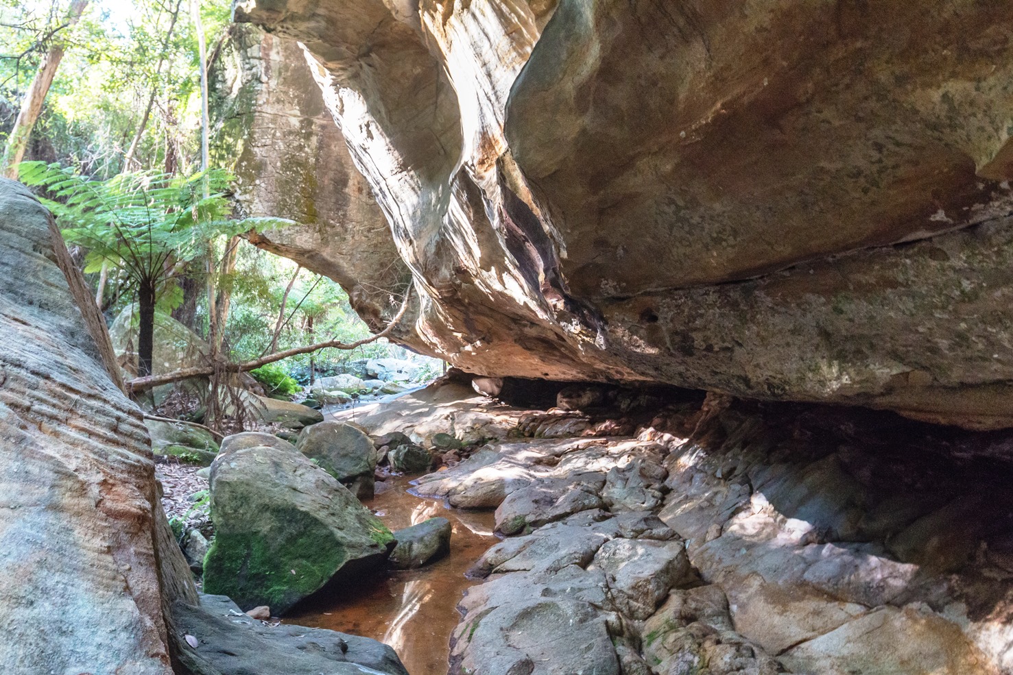 National Park Odyssey: Cania Gorge National Park, Monto QLD.