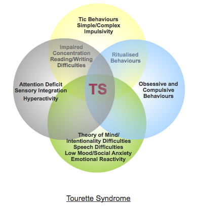 Tourette Focus: 'TS is more than tics....': The Spectrum of Tourette ...