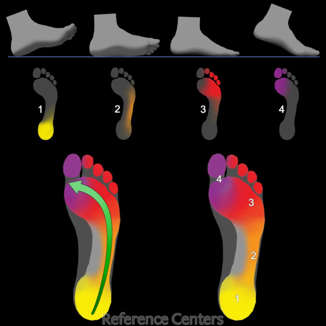 The 'Scope: You've Gotta Learn to Walk Before You March