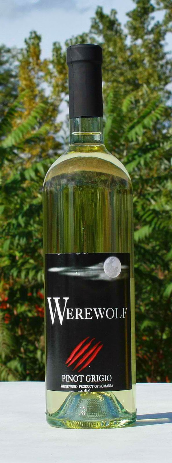 MAGIKAL SEASONS: Drunk on Fall...with pumpkin spice and spooky drinks