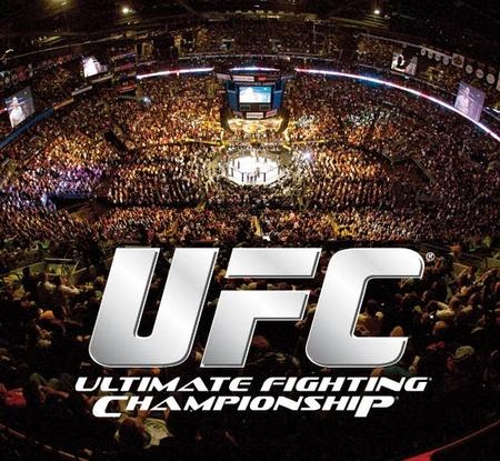 UFC, Free Stock Photos - Free Stock Photos