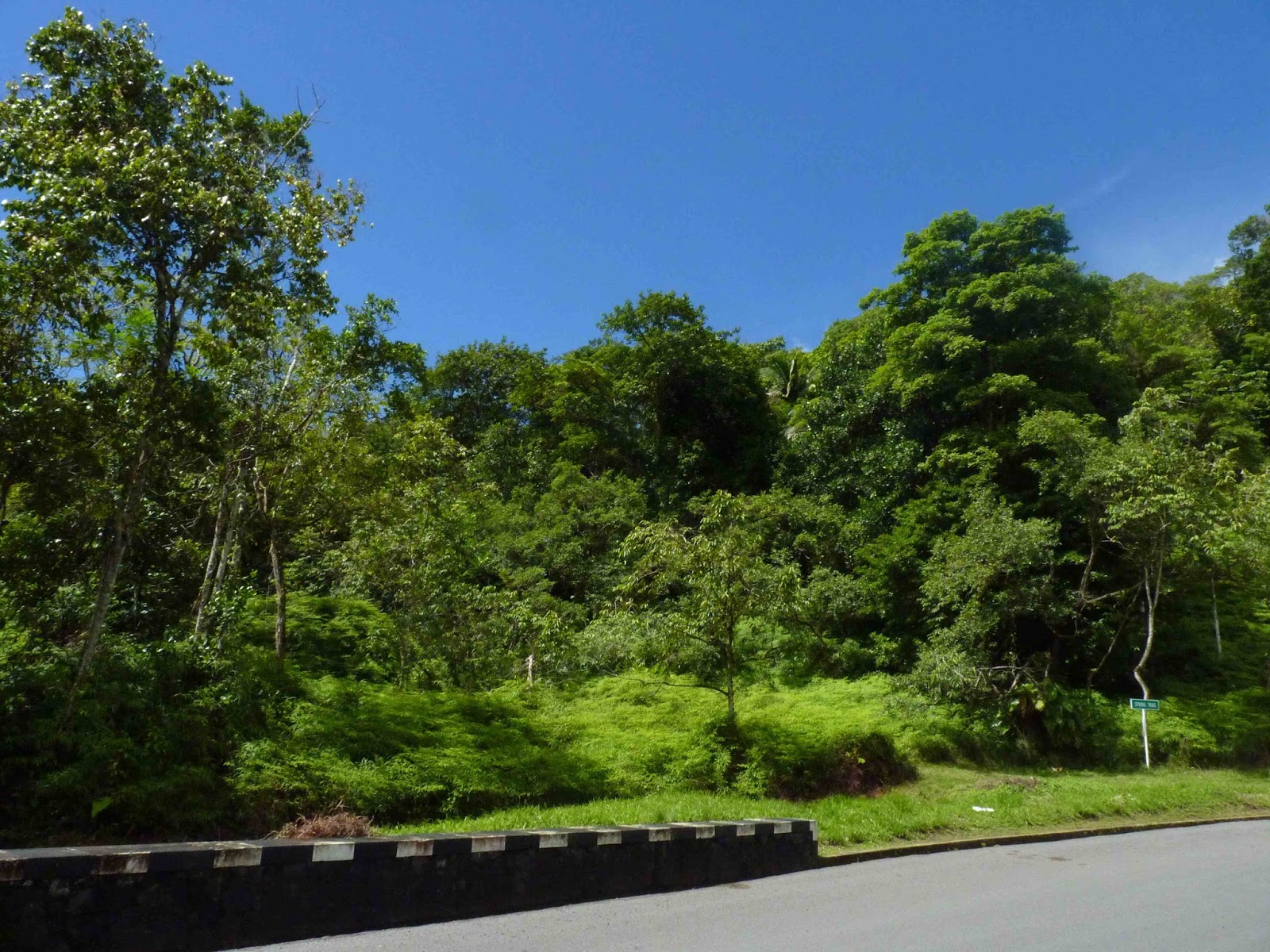 Tobago's Main Ridge Forest Reserve: "for the purpose of attracting ...