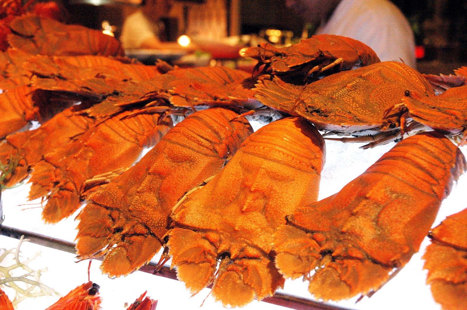 DUDE FOR FOOD: Awesome Lobster Buffet at Diamond Hotel's Corniche