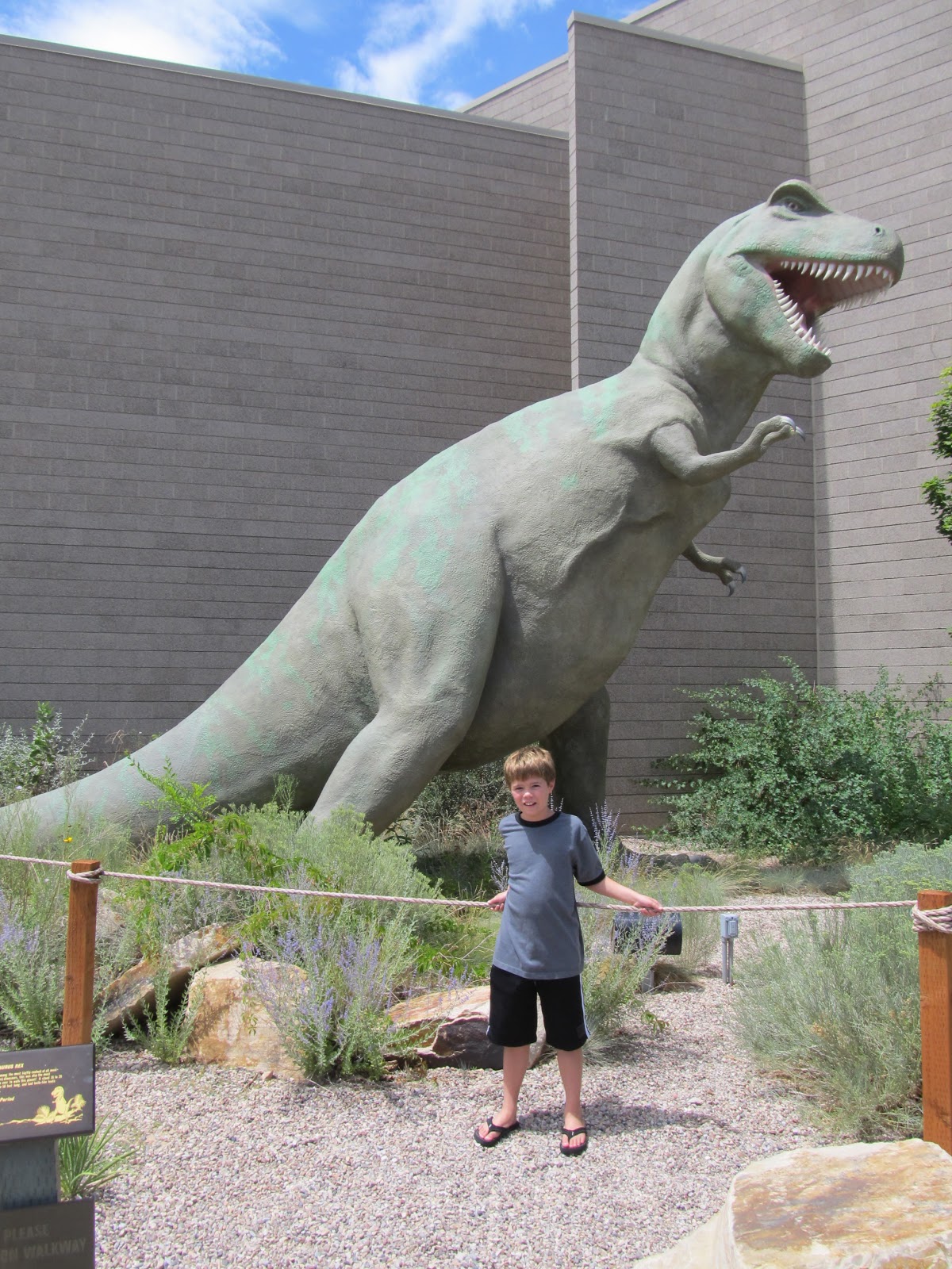 .: Dinoland- Day 3- Utah Field House of Natural History, McConkie Ranch ...