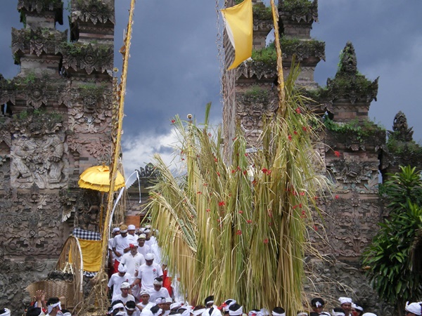 Tradisi Ngusaba Bukakak Di Desa Sangsit - Tempat liburan Nusantara