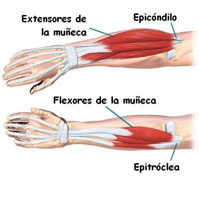 SIGNO DEL CODO DE GOLFISTA – Blog de Fisioterapia