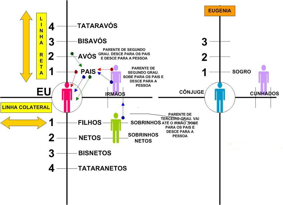 Linha Reta E Colateral - RETOEDU