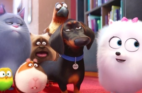 InfoAnimation.com.br: Assista ao novo trailer de 'Pets - A Vida Secreta ...