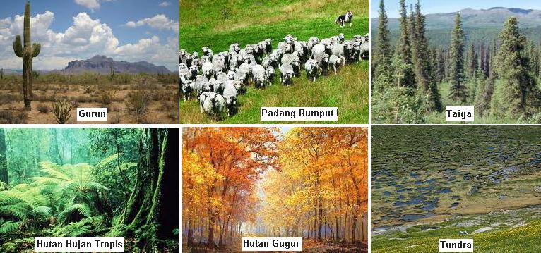 Belajar Geografi: MACAM-MACAM BIOMA